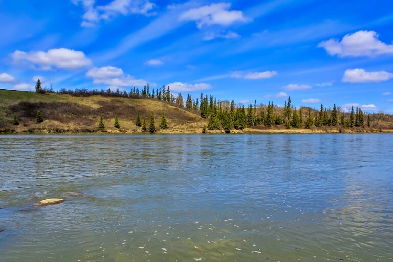 Linde and Dow partner for construction of ethylene complex | Fluid ...