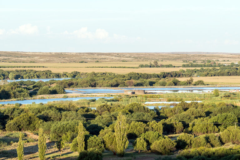 Nature-based solutions to improve water treatment | Fluid Handling Magazine