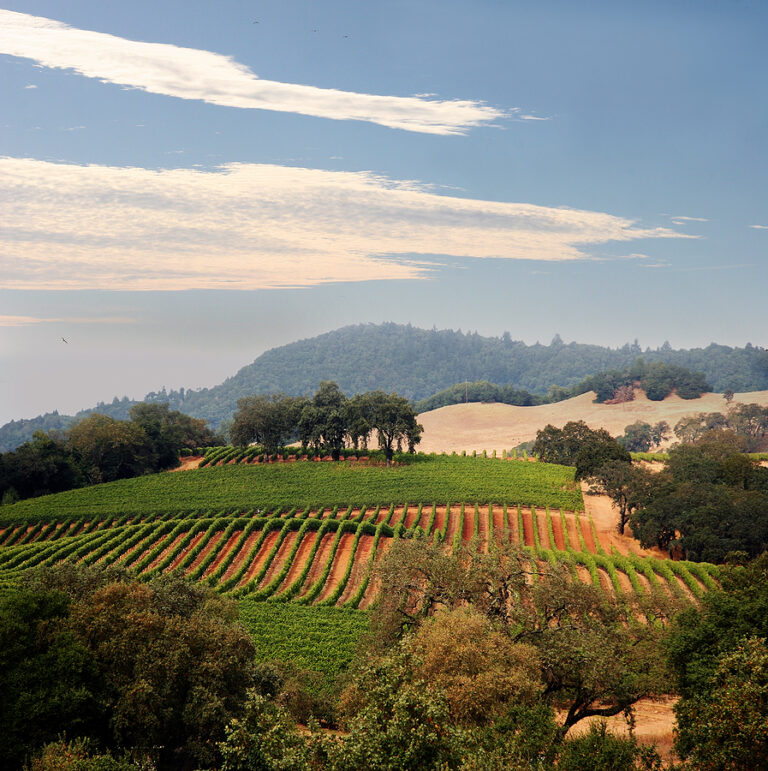 Infrastructure funding for Californian water system upgrades - Fluid ...