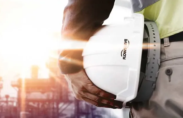 Flowserve strengthens presence in valve sector with acquisition | Fluid ...